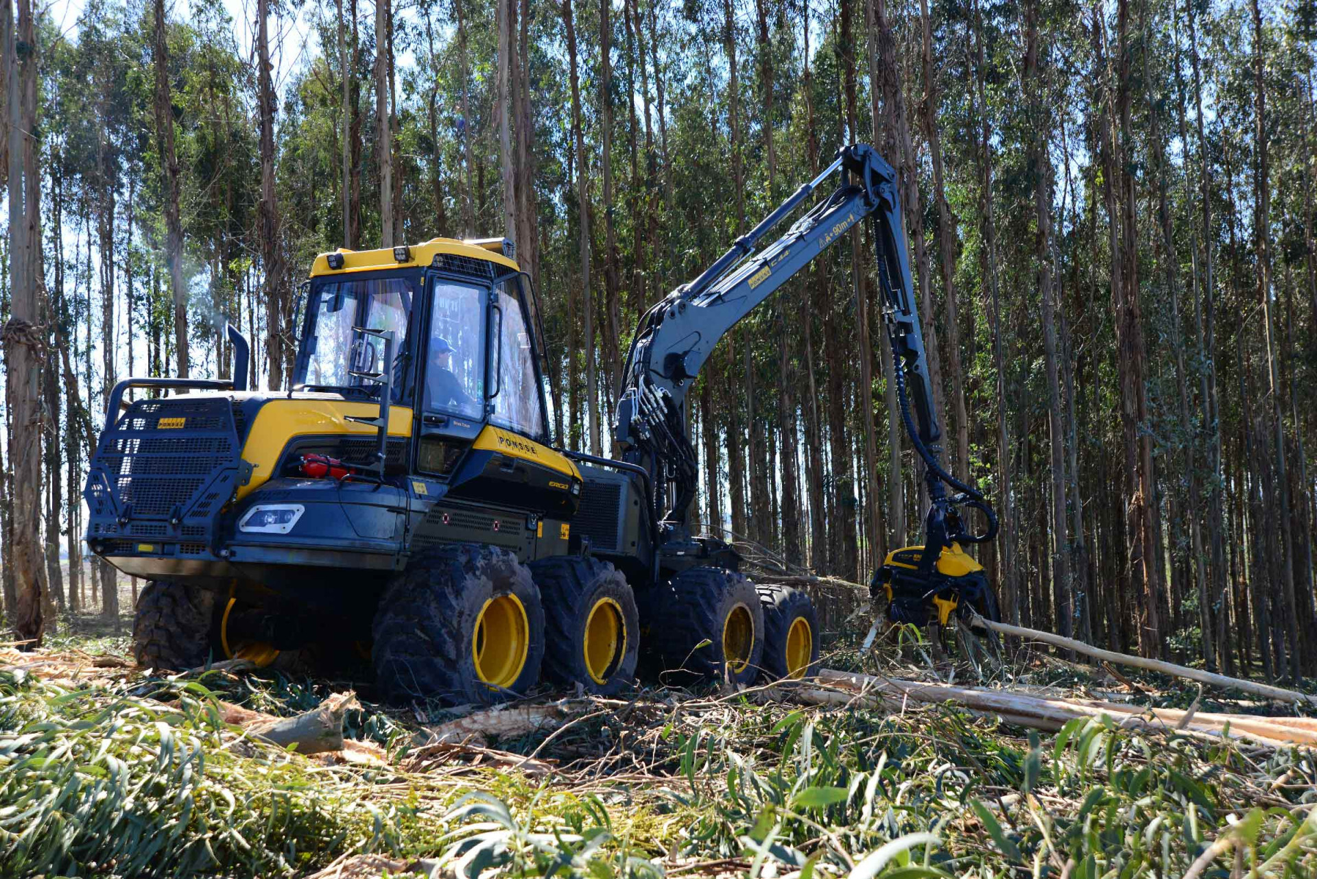 Ergo forwarder - Inter Agrar